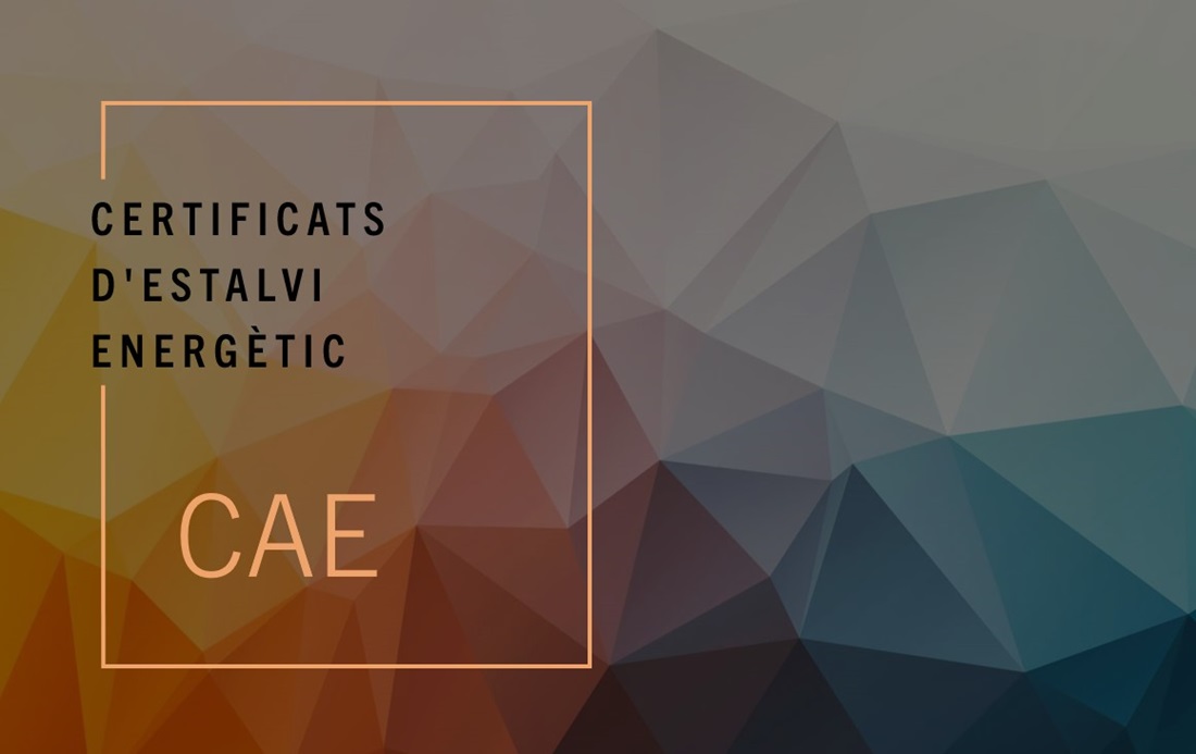 QUÈ SÓN ELS CAE I COM OBTENIR-LOS GRÀCIES A LA INSTAL·LACIÓ DE ...